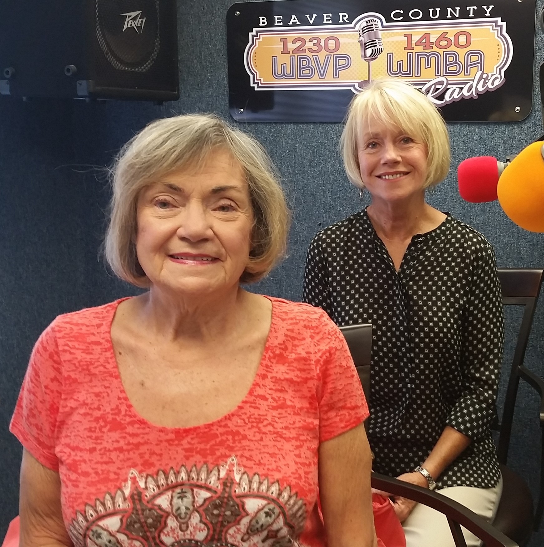 16th Annual AAUW Kitchen Tour Set For September 30 In Beaver - Beaver ...