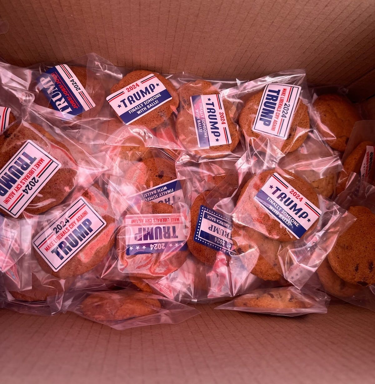 Over 150 People Show Up For Opening of Beaver County Trump Campaign ...