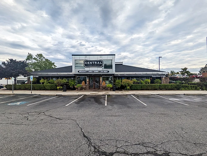 Manager of Central Diner & Grille in Robinson Township detained by ...